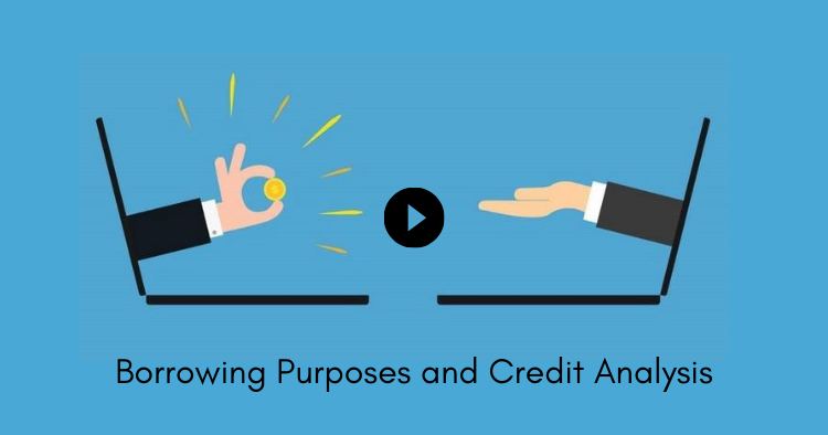 Borrowing Purposes and Credit Analysis [Retro-Learning Course]